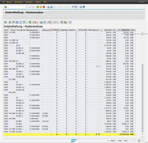 controlling im sap pm is mit sap list viewer and sap quick viewer