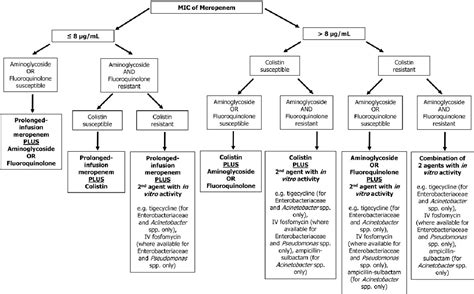 Gram Negative Rods Algorithm