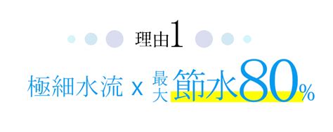 【楽天市場】【時間限定⇒2 780円 フィルター4本付き1年使えます】楽天1位 節水シャワーヘッド 塩素除去 節水シャワー 増圧 低水圧用
