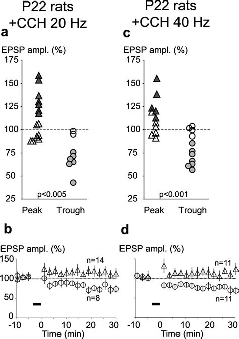 phase sensitivity of synaptic modifications during sustained