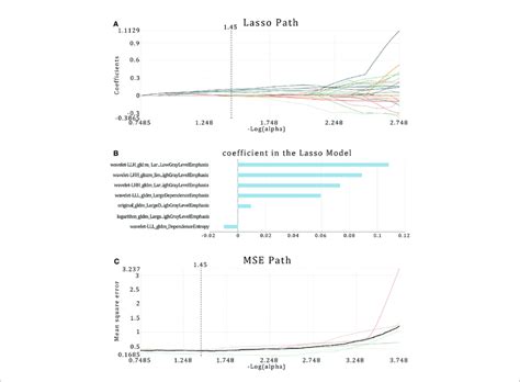 radiomic feature selection using least absolute shrinkage and