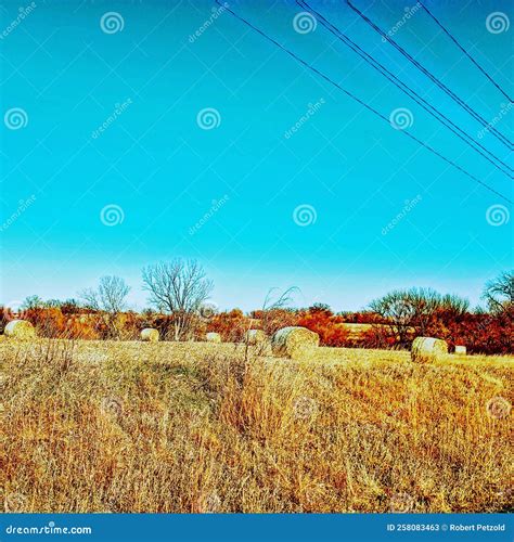 Hay Bales Southeast Lincon Nebraska Stock Image Image Of Autumn Tree