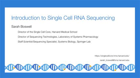 [ppt] Introduction To Single Cell Rna Sequencing Sarah Boswell