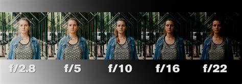 Witness Mastering Depth Of Field With Your Dslr