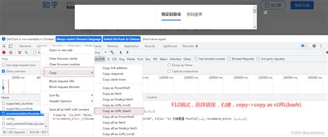 postman导入curl命令请求 postman怎么复制curl csdn博客