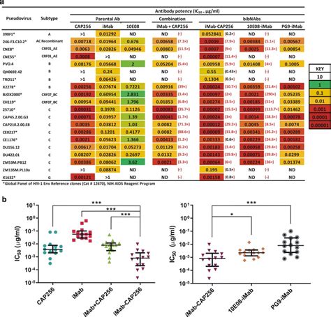 Engineering And Characterising A Novel Highly Potent Bispecific