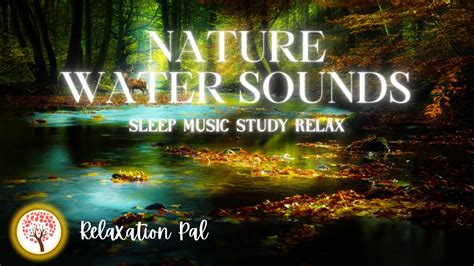 Relaxing Music Relieves Stress Anxiety And Depression 🌿 Heals The Mind