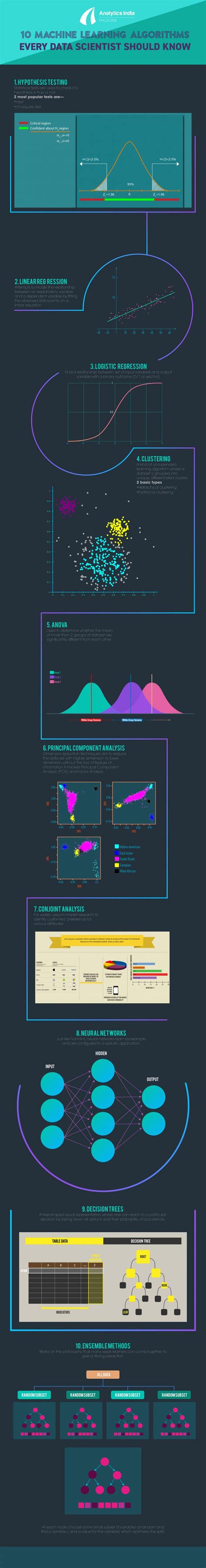 machine learning algorithms every data scientist should know infographic
