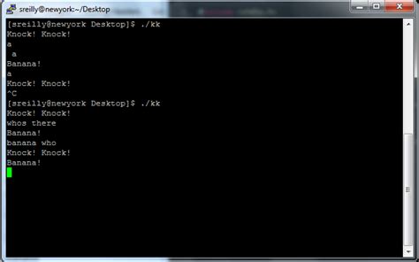 c two scanf statements inside a while loop not reading properly
