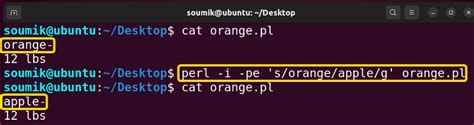 The “perl” Command In Linux [with 4 Practical Examples] Linuxsimply