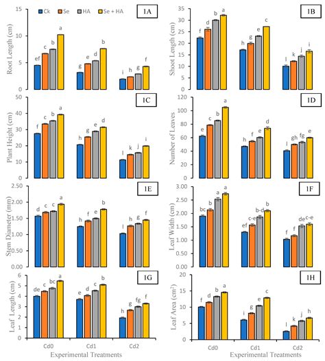 Agronomy Free Full Text Humic Acid And Selenium Supplementation