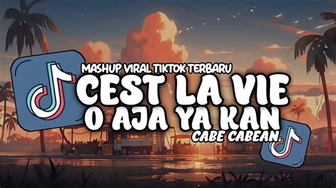 Dj Cest La Vie X O Aja Ya Kan X Cabe Cabean Jedag Jedug Mengkane Viral