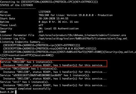 install oracle database 19c in docker container ~ dilli s