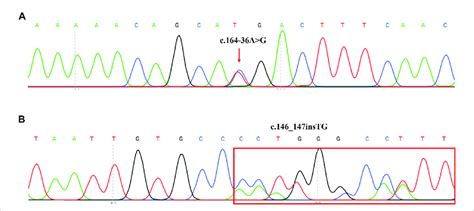 Sequencing Results Of Two Novel Mutation On Pts Reverse Sequences In