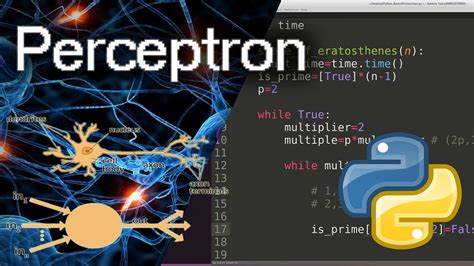 single layer perceptron background and python code youtube