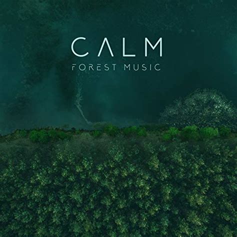 Calm Forest Music Regenerating Green Experience Forest Bathing