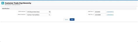 set up a customer hierarchy unit salesforce trailhead