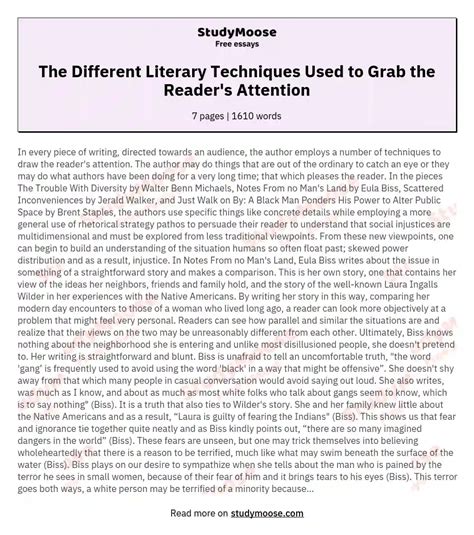 The Different Literary Techniques Used To Grab The Readers Attention