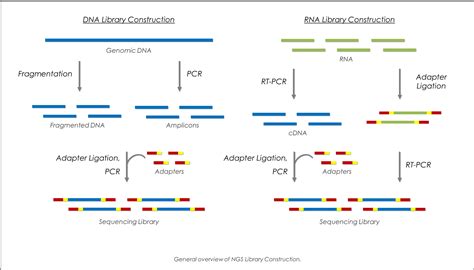 a guide to the ngs workflow