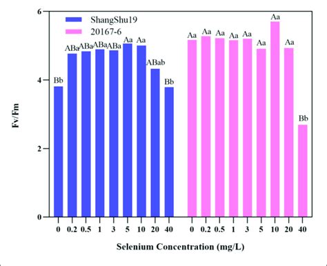 Effects Of Different Selenium Concentrations On The Maximum