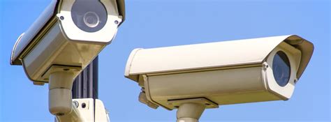 backlink monitoring a how to guide hive digital