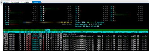 gpu waits for cpu so long time pytorch forums