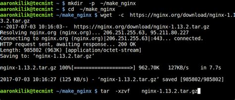 install nginx with ngx pagespeed speed optimization on debian and ubuntu