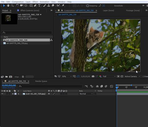 learn how to mask and create shape layers in after effects