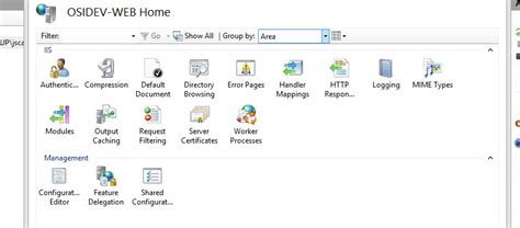 asp section is missing from my iis stack overflow