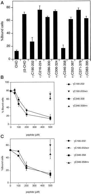 Identification Of Amino Acid Sequences In Fibrinogen γ Chain And