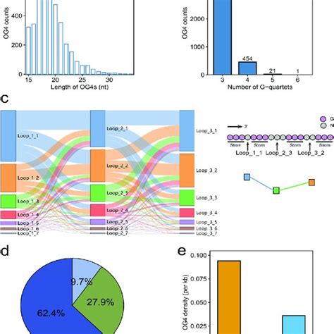 Dms Seq Coupling With Bioinformatics Algorithms Detects Rna
