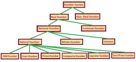 number system cbse mathematics