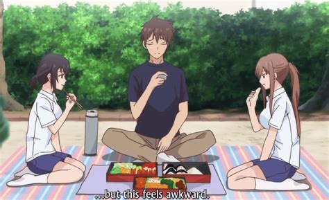 World Anime Series Top 15 Animes Ecchi Y Harem Mejores Animes Harem Images