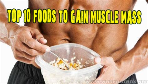 Top 10 Foods To Gain Muscle Mass Project Next