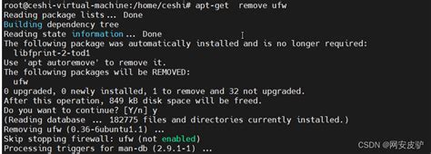 （20240201）ubuntu系统卸载ufw安装iptables配置策略 Ufw 卸载 Csdn博客