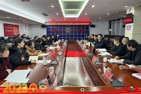 李勇、彭方建、凌晓明等县领导参加人大代表团分组讨论 平江县政府门户网