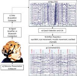 eeg experiment with recording procedure and preprocessing steps