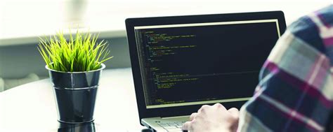 what are the things that you should check before hiring a professional