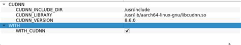 opencv modules dnn src dnn cpp 1447 setupnet dnn module was not