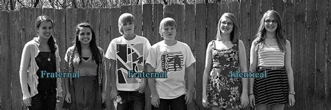 Fraternal Twins Vs Identical Twins Difference And Comparison Diffen