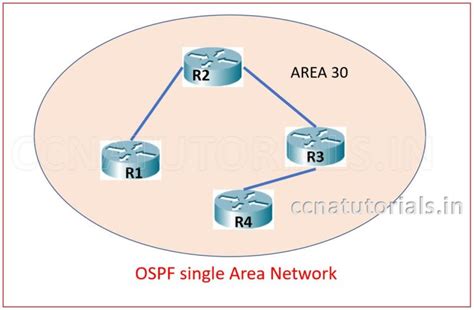 ospf multi area network explained for ccna exam ccna tutorials