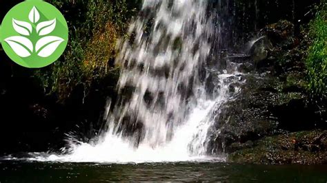 Rainforest Waterfall [10 Hours] Waterfall Nature Sounds White Noise
