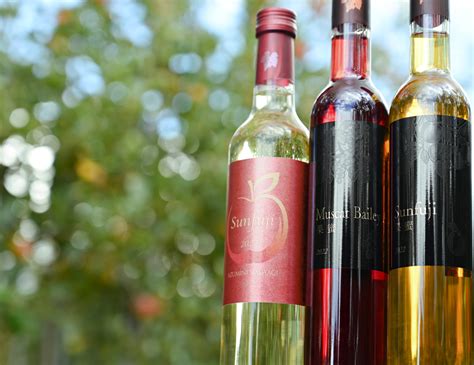 ワイン醸造のコンサルいたします🍷 安曇野 青栁