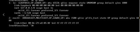 centos 7 0 id addr command ens33 no ip address display solutions can