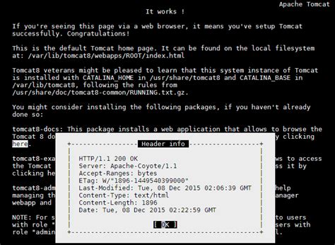 nginx as a reverse proxy to apache tomcat the developer