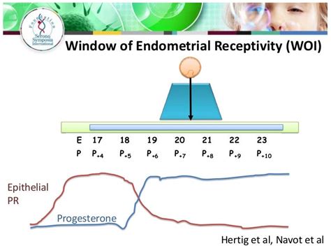 Endometrial Receptivity Ppt 12 1