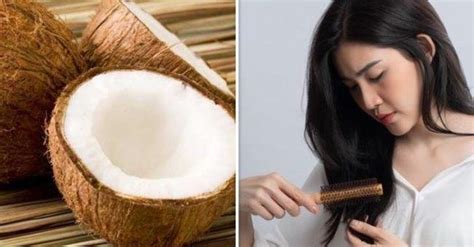 5 Masker Rambut Alami Untuk Mengatasi Rambut Rontok