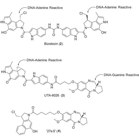 Structures Of Previously Published G G And G A Dna Cross Linking
