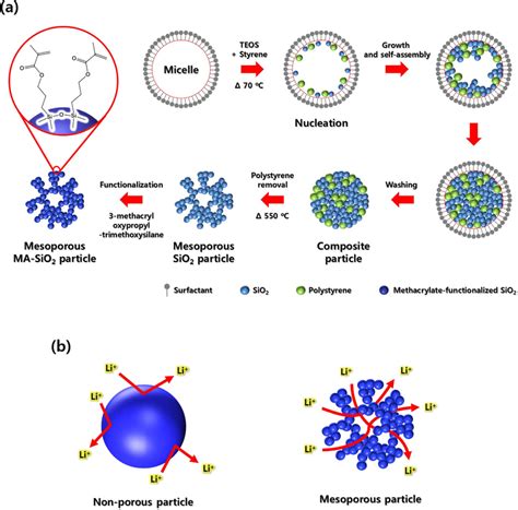 schematic illustrations for a synthesis of mesoporous ma sio 2