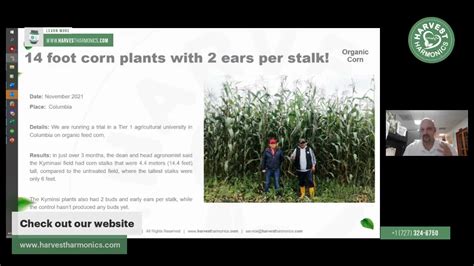 Ankles Behind Ears Legs Behind Head Page – Telegraph